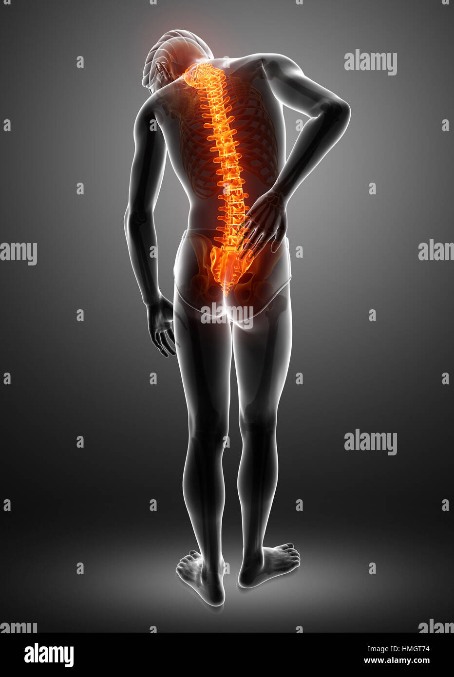 human body anatomy with joint pain Stock Photo - Alamy