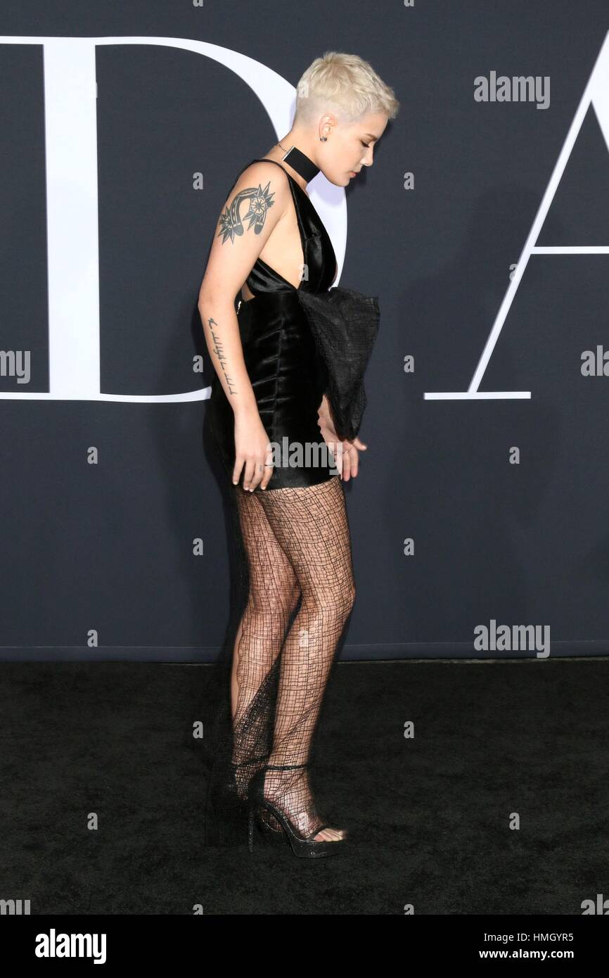 Los Angeles, CA, USA. 2nd Feb, 2017. Halsey, Ashley Nicolette ...