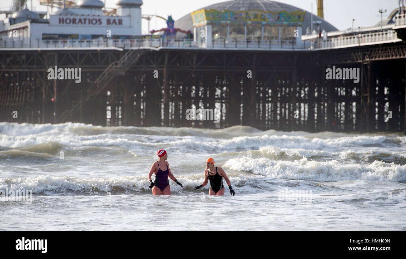 Brighton, UK. 3rd Feb, 2017. Members of Brighton Swimming Club enjoy ...