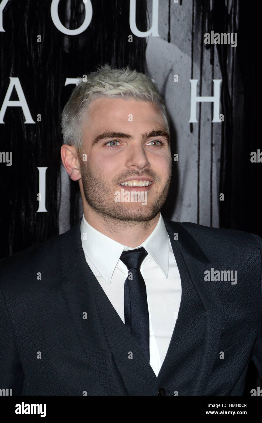 Los Angeles, Ca, USA. 2nd Feb, 2017. Alex Roe at the Screening Of ...