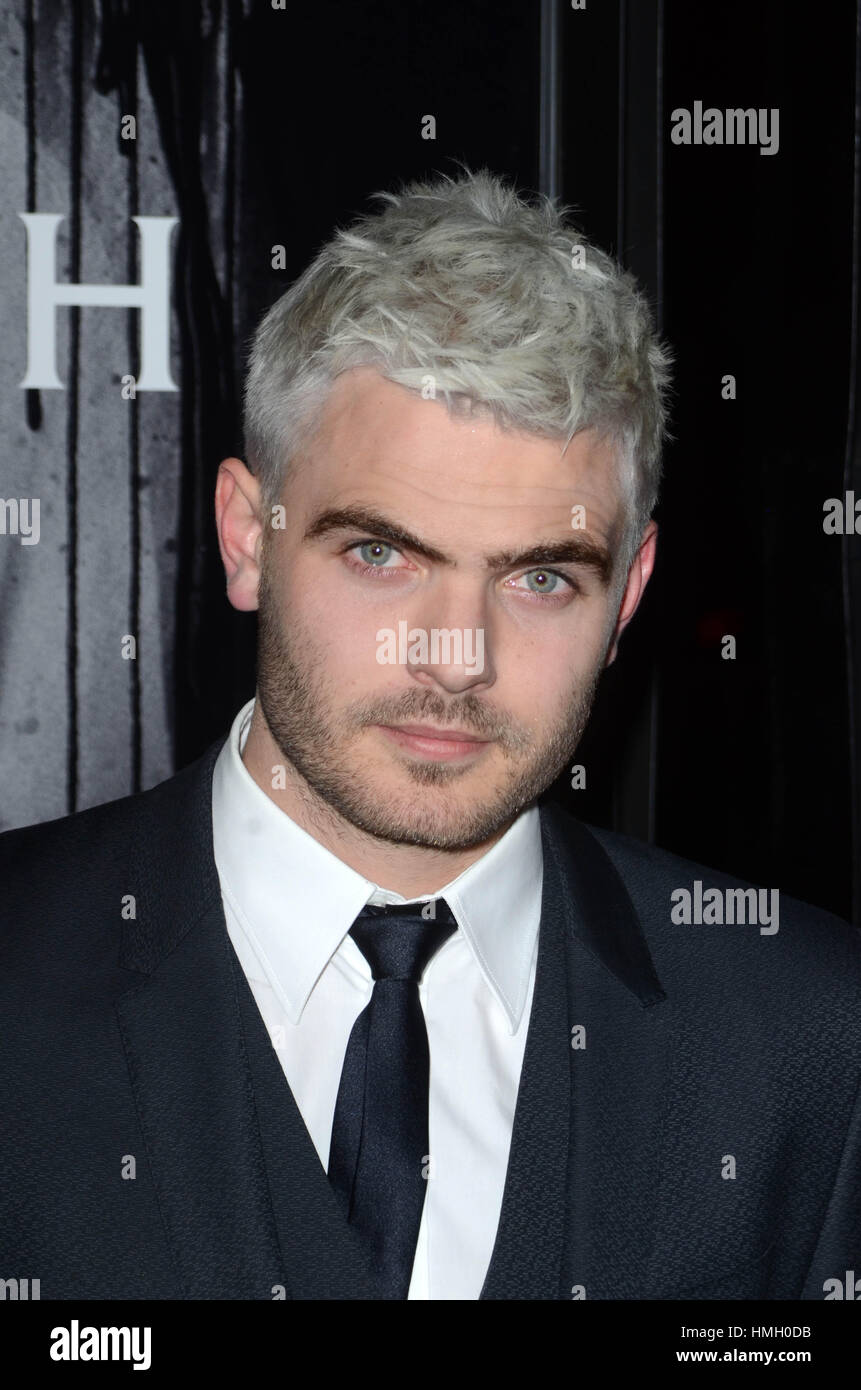 Los Angeles, Ca, USA. 2nd Feb, 2017. Alex Roe at the Screening Of ...