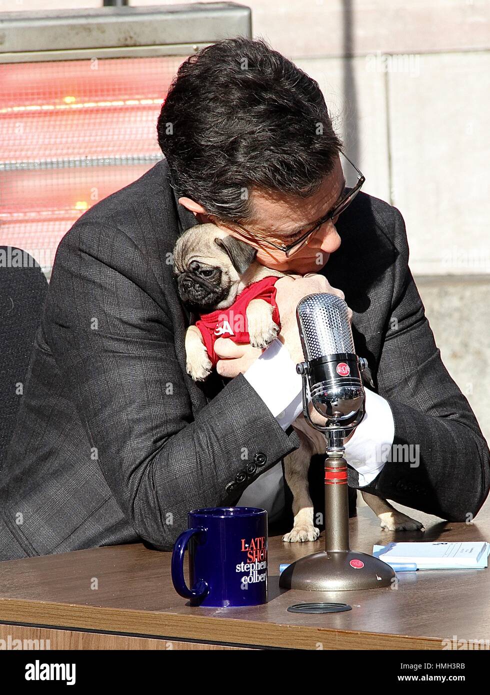 New York, USA. 3rd Feb, 2017. Stephen Colbert plays with a dog wearing ...