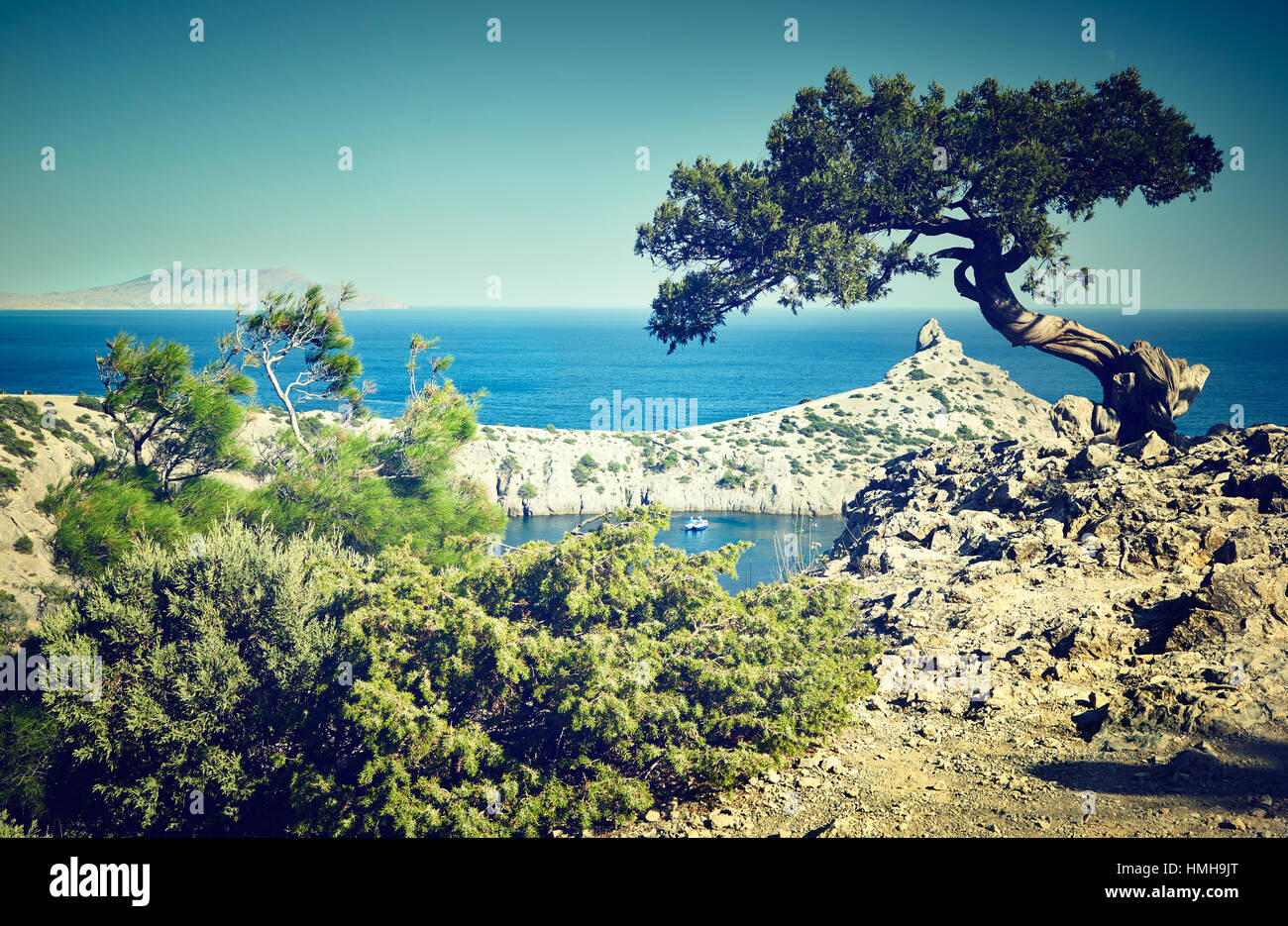 Tree and sea at sunset. Crimea landscape. Nature background Stock Photo ...