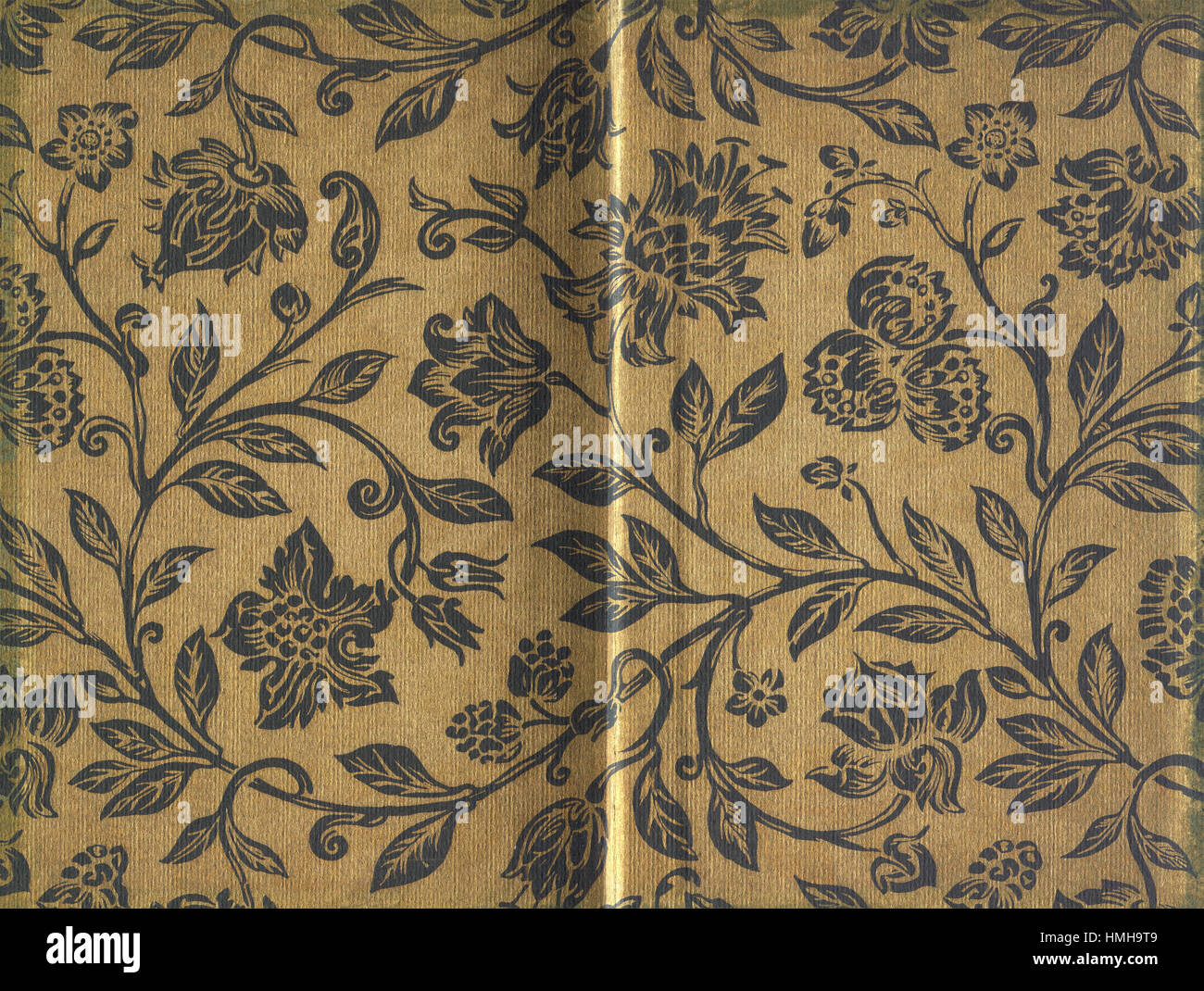 Unfolded old ancient gold book cover Stock Photo - Alamy