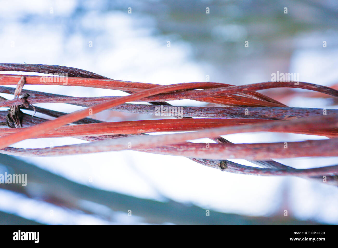 Twisted natural pattern Stock Photo - Alamy