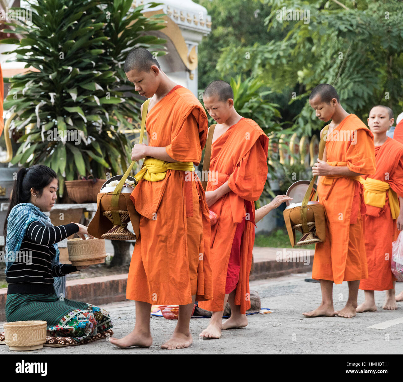 Monks collecting rice alms during early morning tak bat procession ...