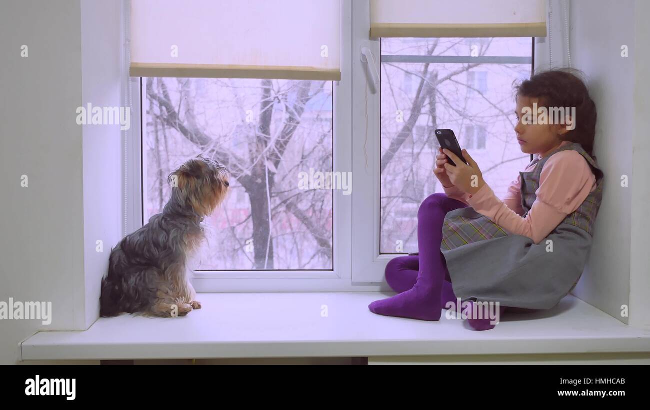 girl teen playing web online game for smartphone and dog sitting on a ...