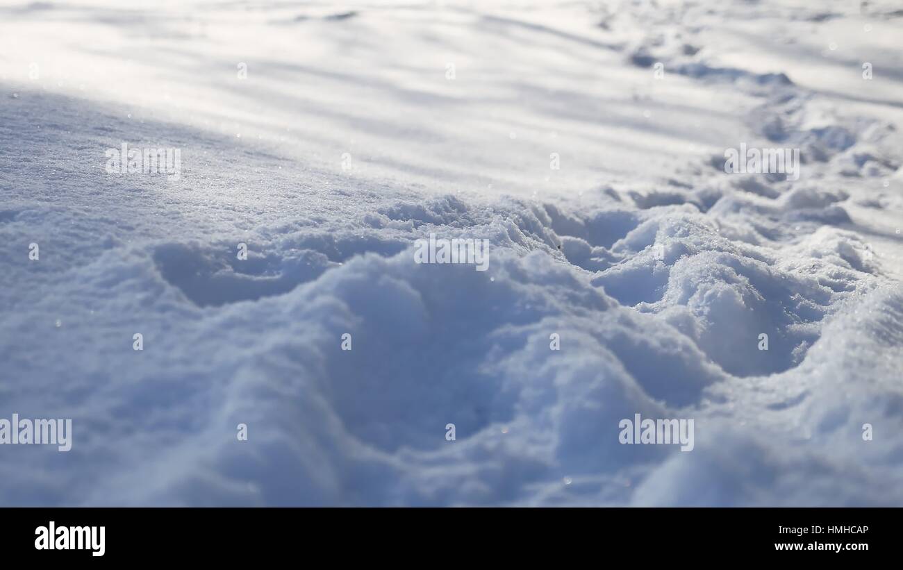 human nature footprints in the snow winter landscape path a lot of snow ...