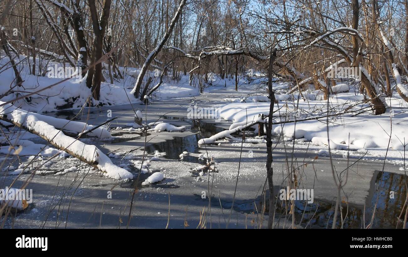 forest stream flows in the winter forest nature landscape snow Stock ...