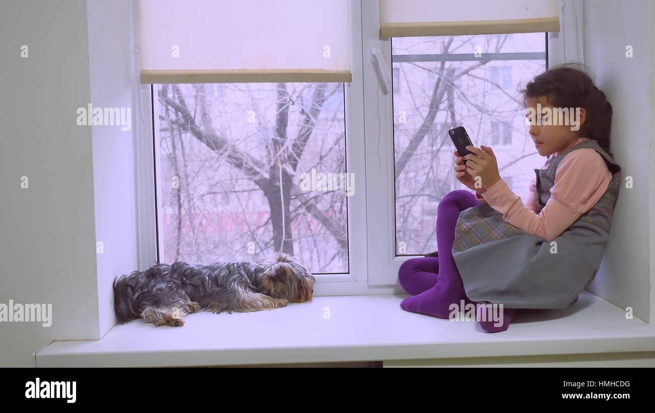 girl teen playing web online game for smartphone and dog sitting on pet ...