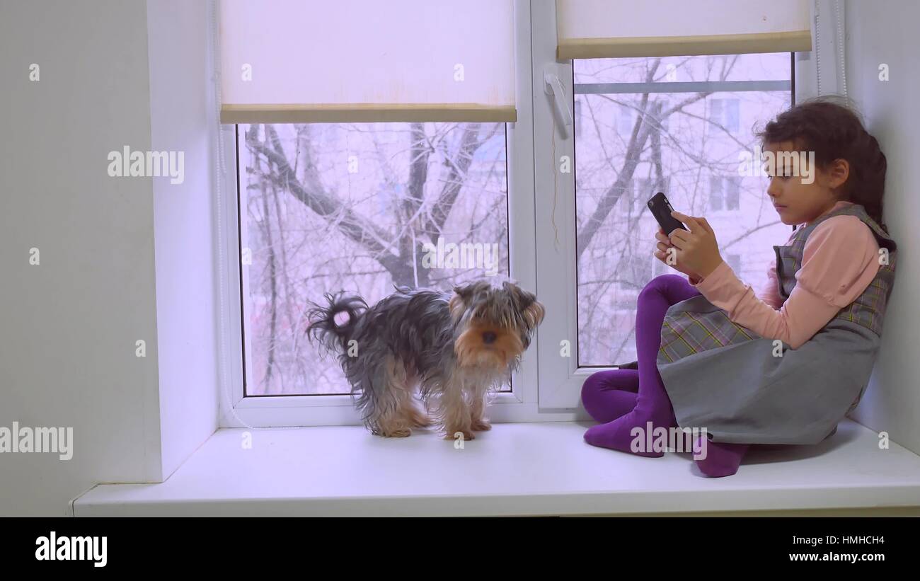 girl teen playing web online game for smartphone and dog sitting on pet ...