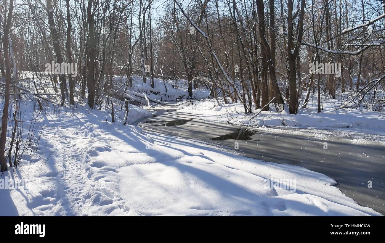 landscape forest stream flows in the winter forest nature snow Stock ...