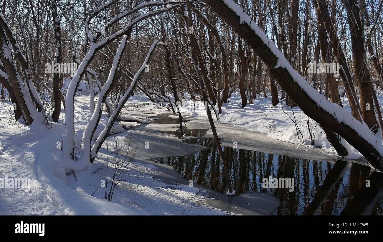 forest stream flows landscape in the winter forest nature snow Stock ...