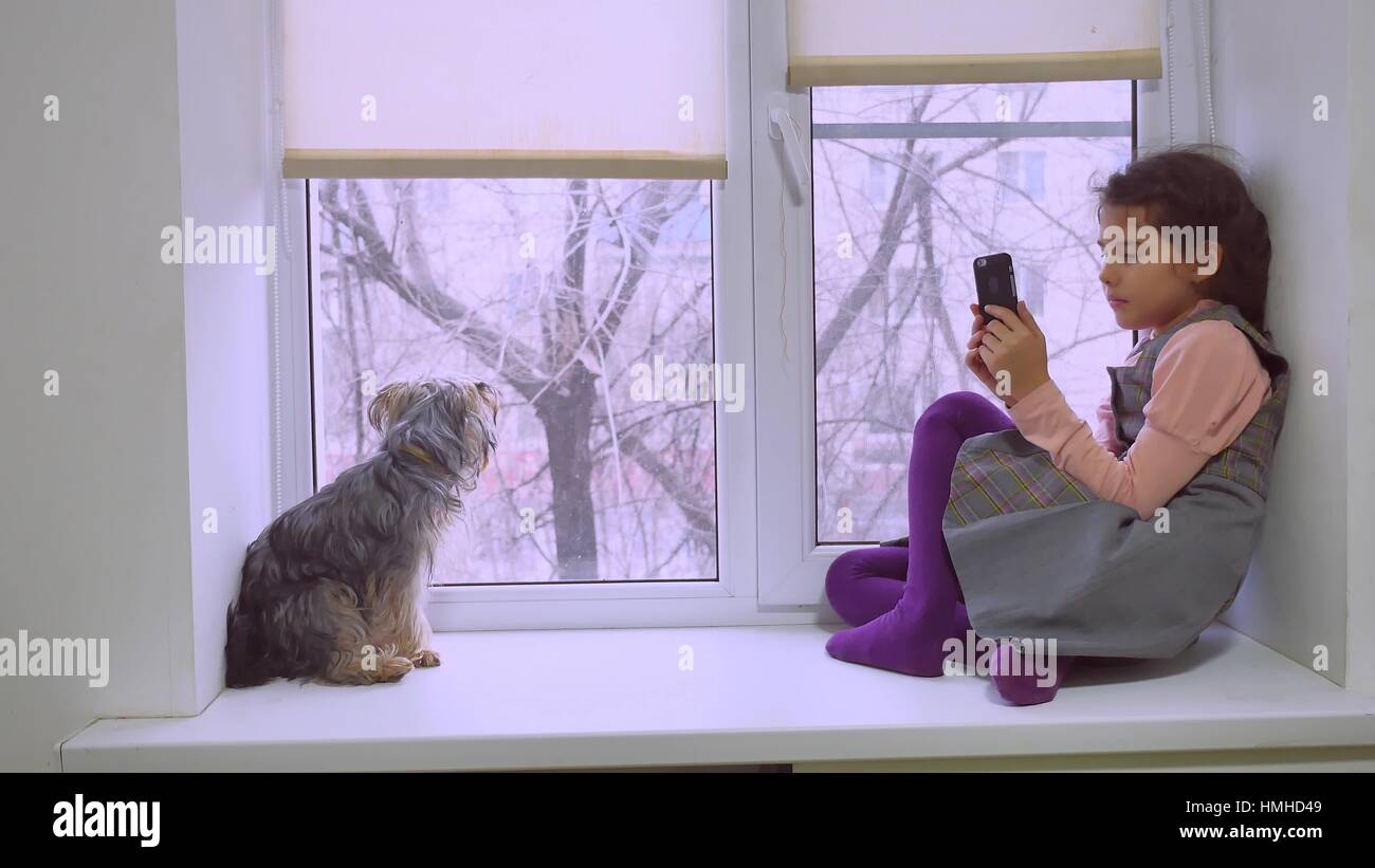 girl teen playing web online game for smartphone and dog sitting on a ...