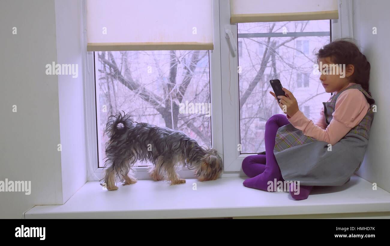 girl teen playing web online game for smartphone and dog sitting on pet ...