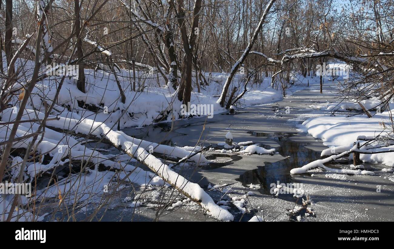 forest stream flows in the winter forest nature snow, landscape Stock ...