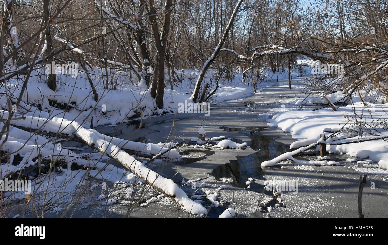 forest stream flows in the winter forest nature snow, landscape Stock ...