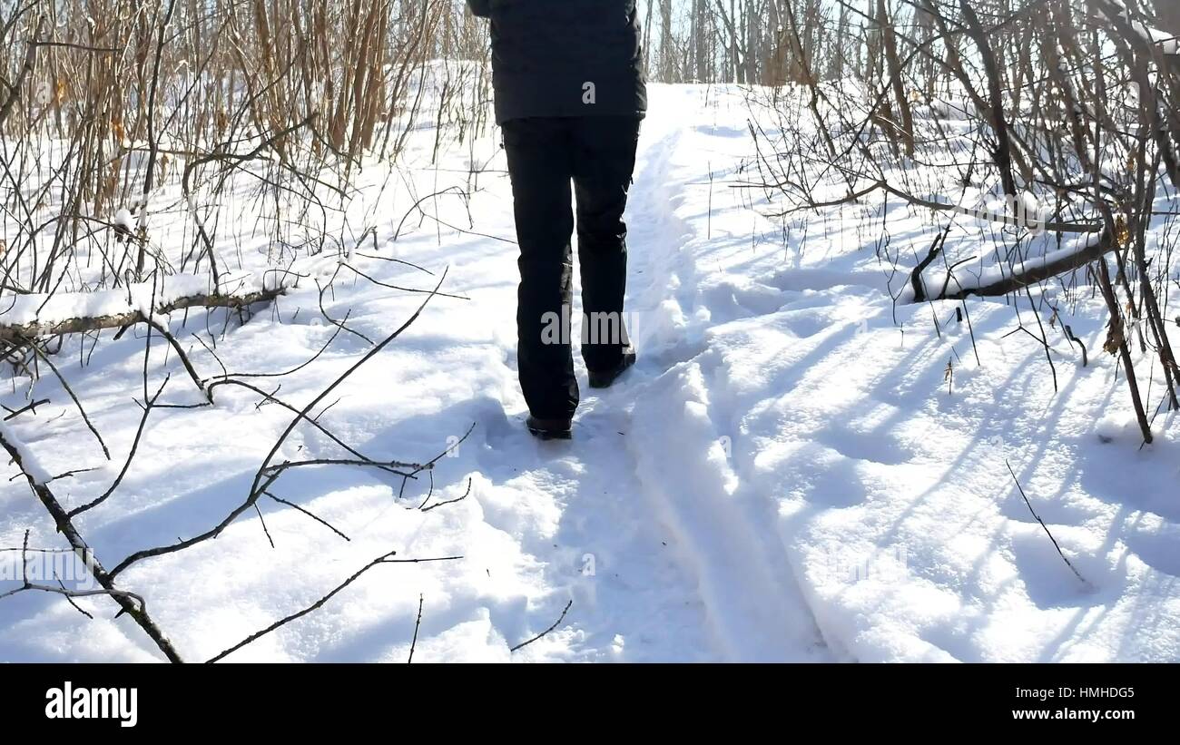 man walking in the snow in the winter forest landscape nature travel ...