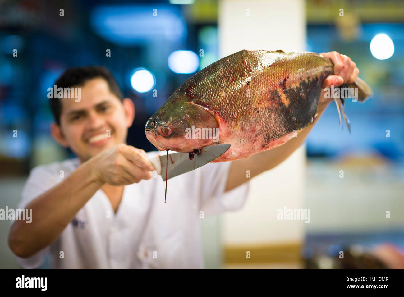 A worker gutting fish in the fish market in Manaus in the Amazon ...