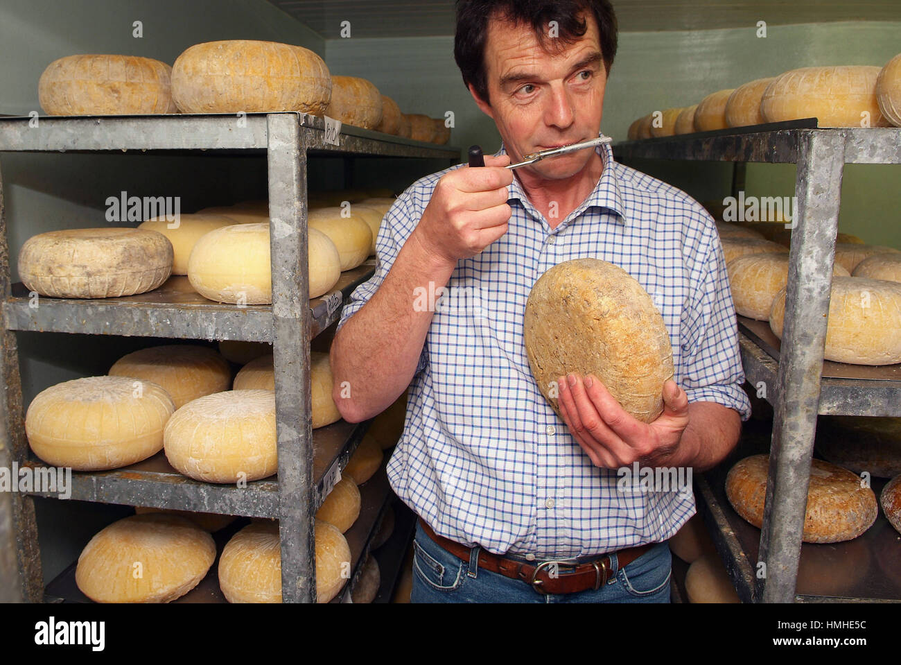 Cheesemaker Graham Padfield of Bath Soft Cheeses, Kelston Stock Photo ...