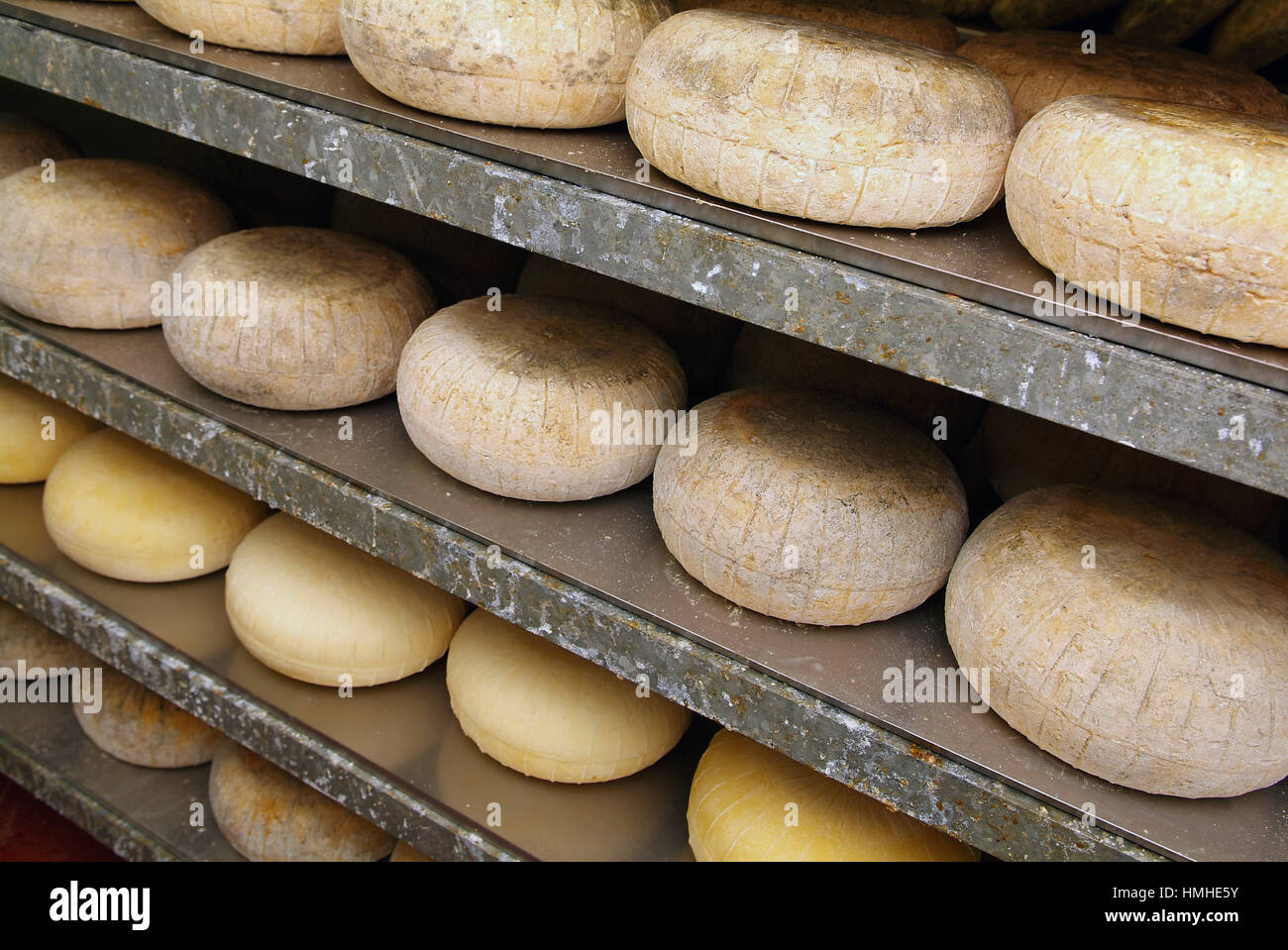 Cheesemaker Graham Padfield of Bath Soft Cheeses, Kelston Stock Photo ...
