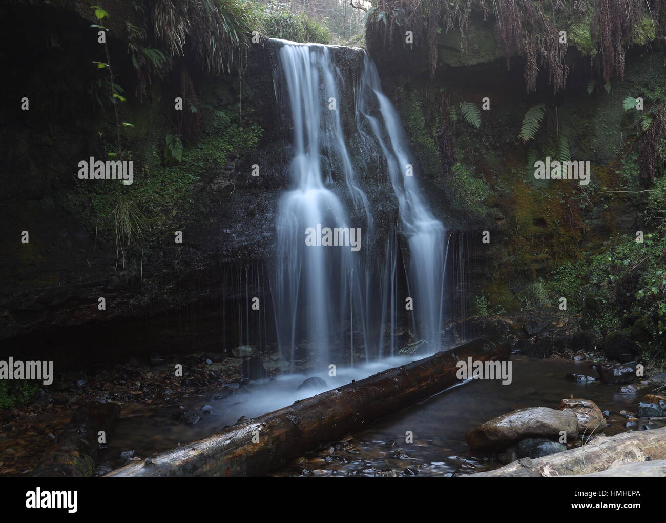Scotland maspie den hi-res stock photography and images - Alamy