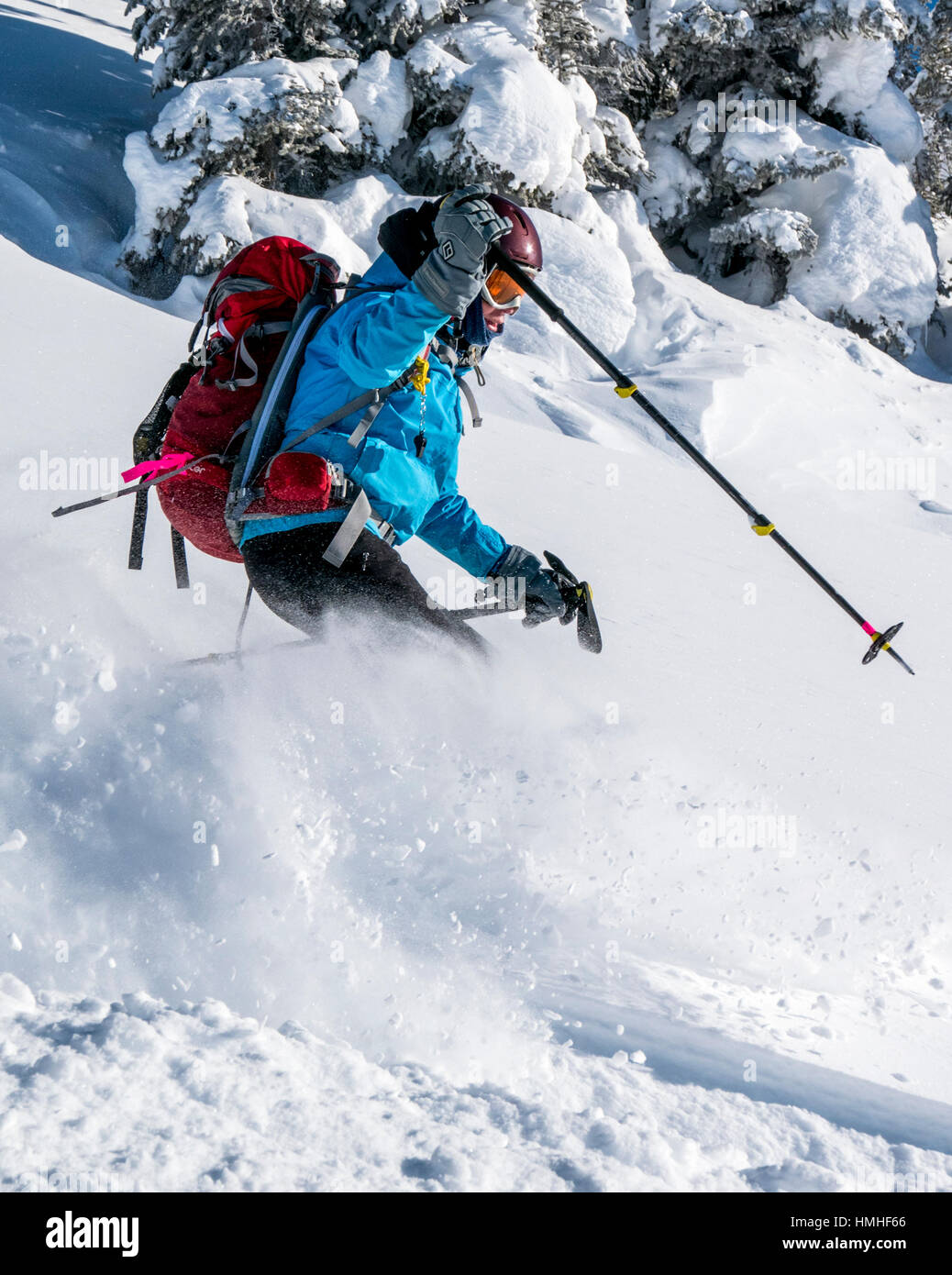 Back country skiers; Esplanade Range; Selkirk Mountains near remote ...