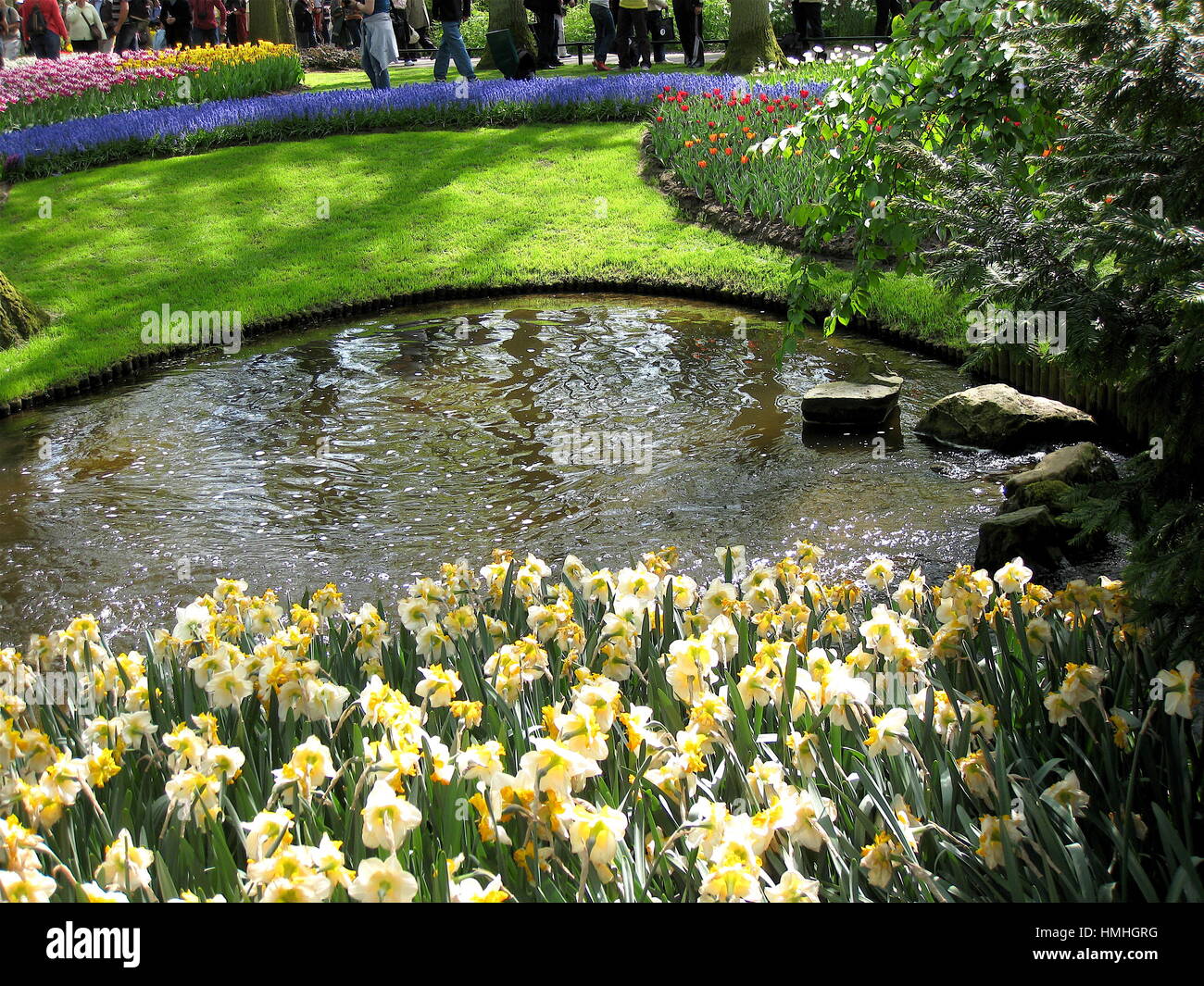 Trees in blossom in amsterdam hi-res stock photography and images - Alamy