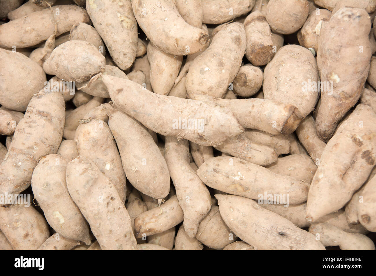fresh yacon selling at the outdoor market Stock Photo - Alamy