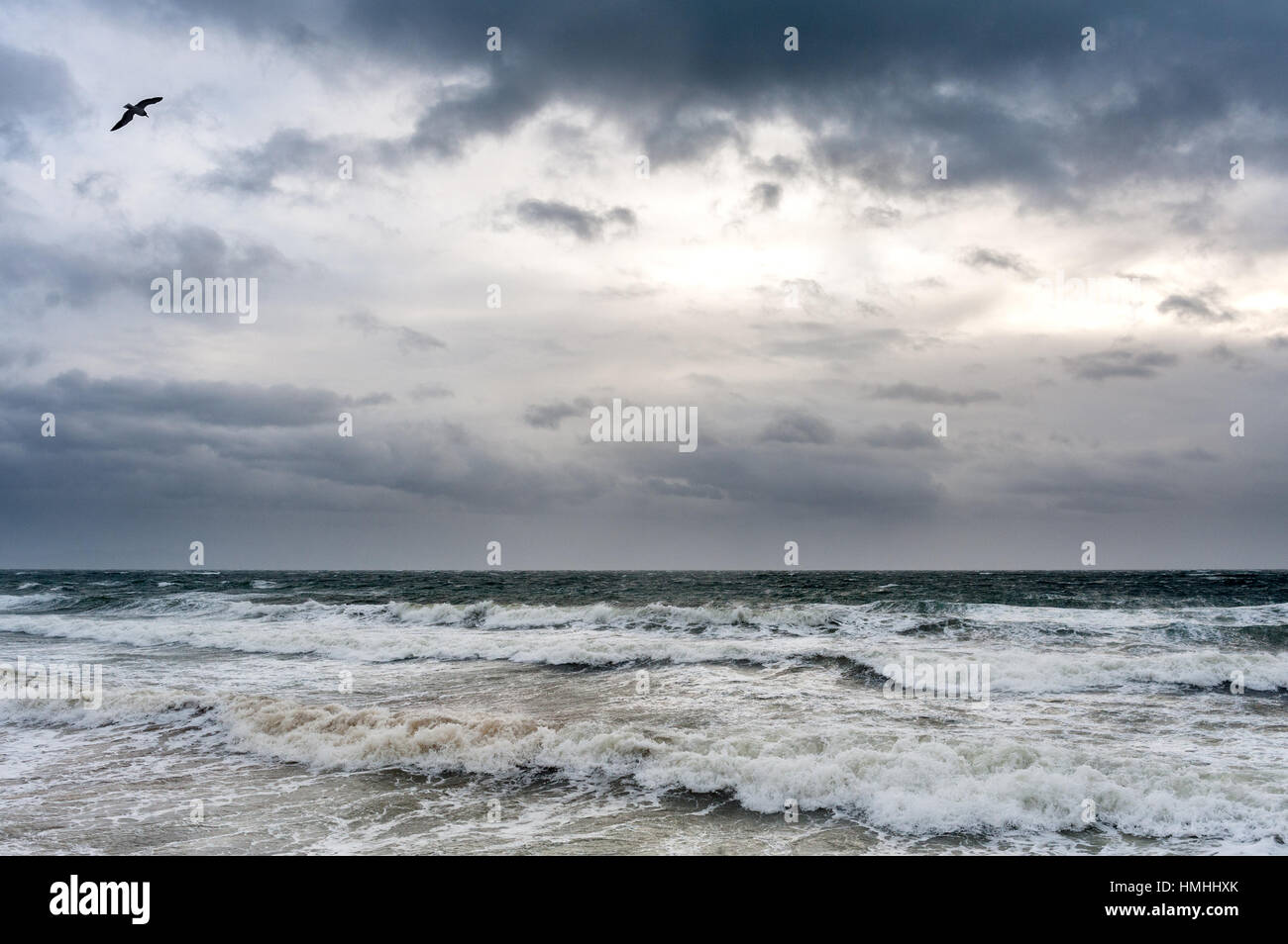 Seagulls flying over ocean waves during a storm at Point Holmes, Comox ...