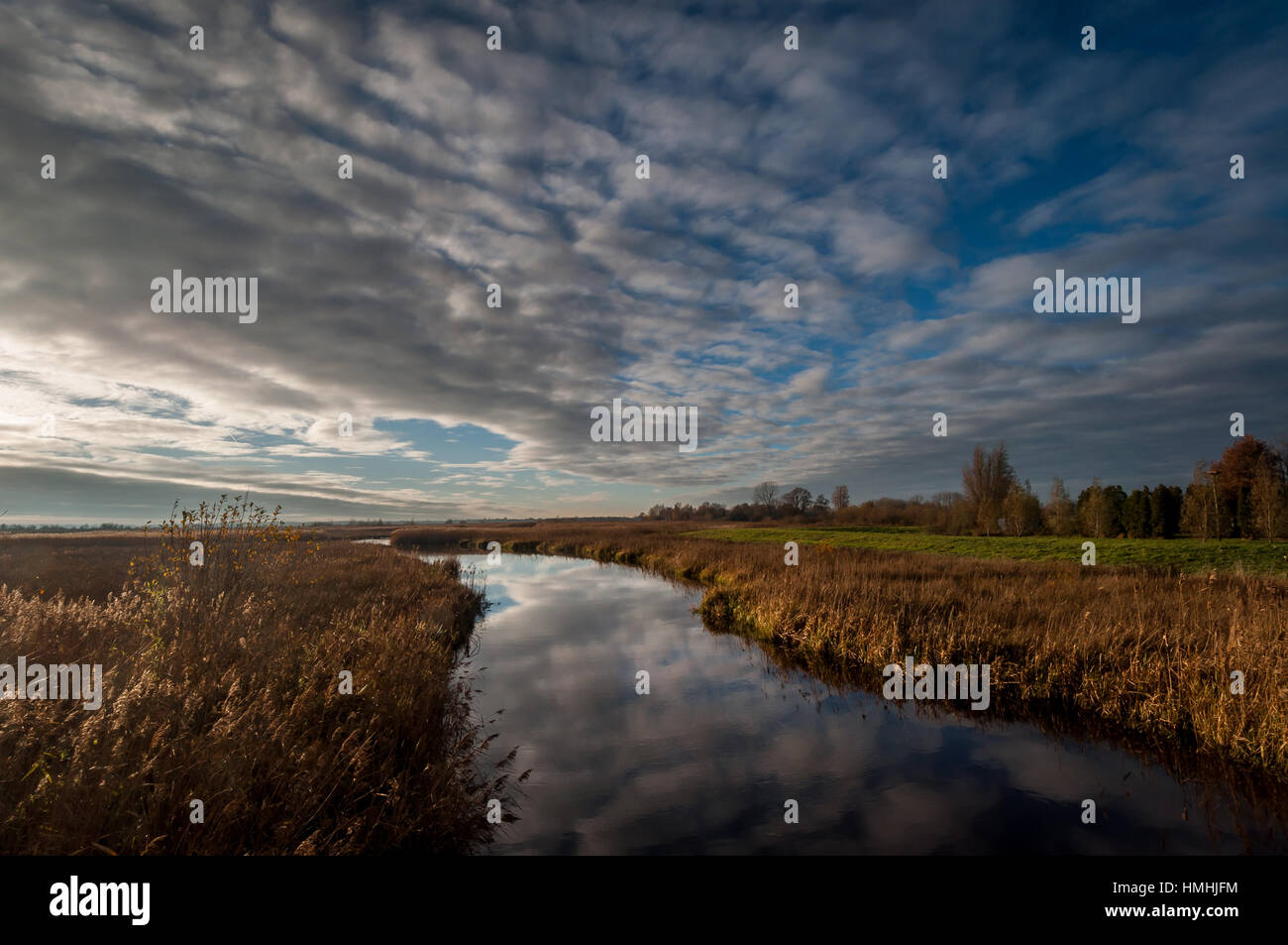 River in the Onlanden a beautiful landscape near the city of Groningen ...