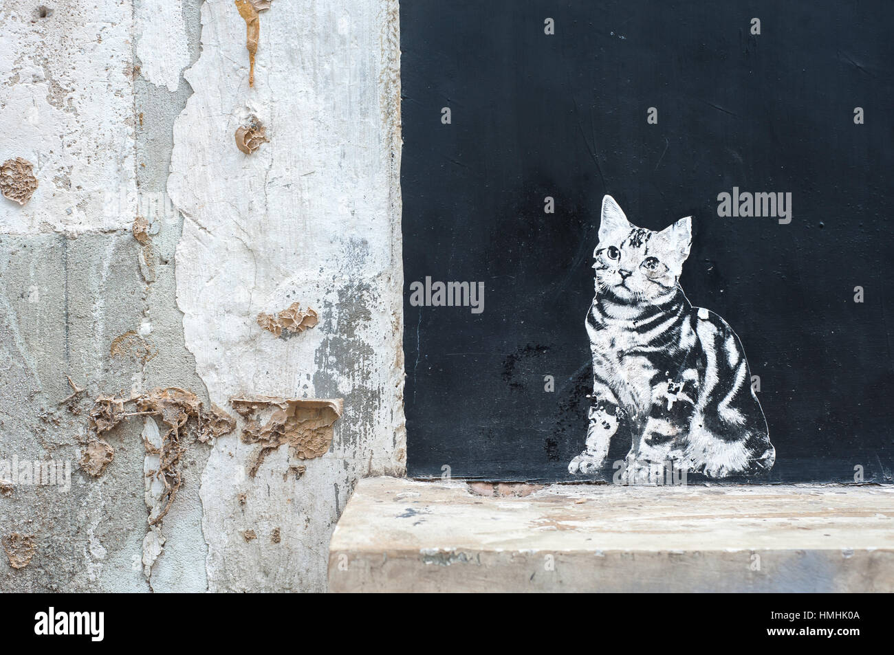 Graffiti Cat High Resolution Stock Photography and Images - Alamy