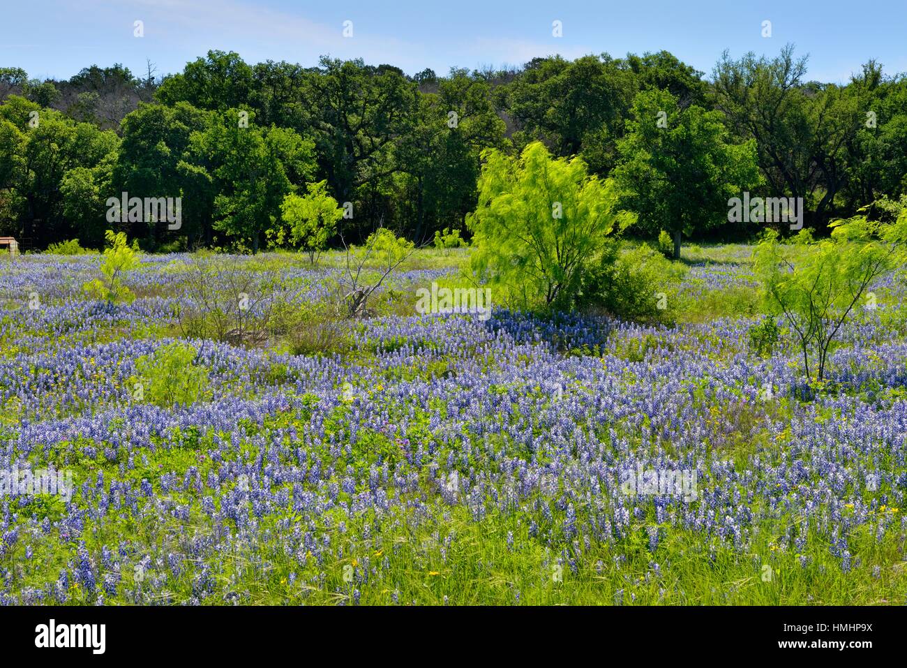 Burnet county hi-res stock photography and images - Alamy