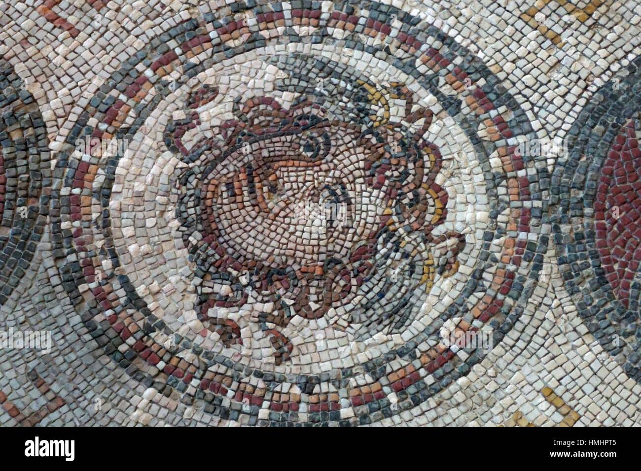 Roman Mosaic Medusa High Resolution Stock Photography and Images - Alamy
