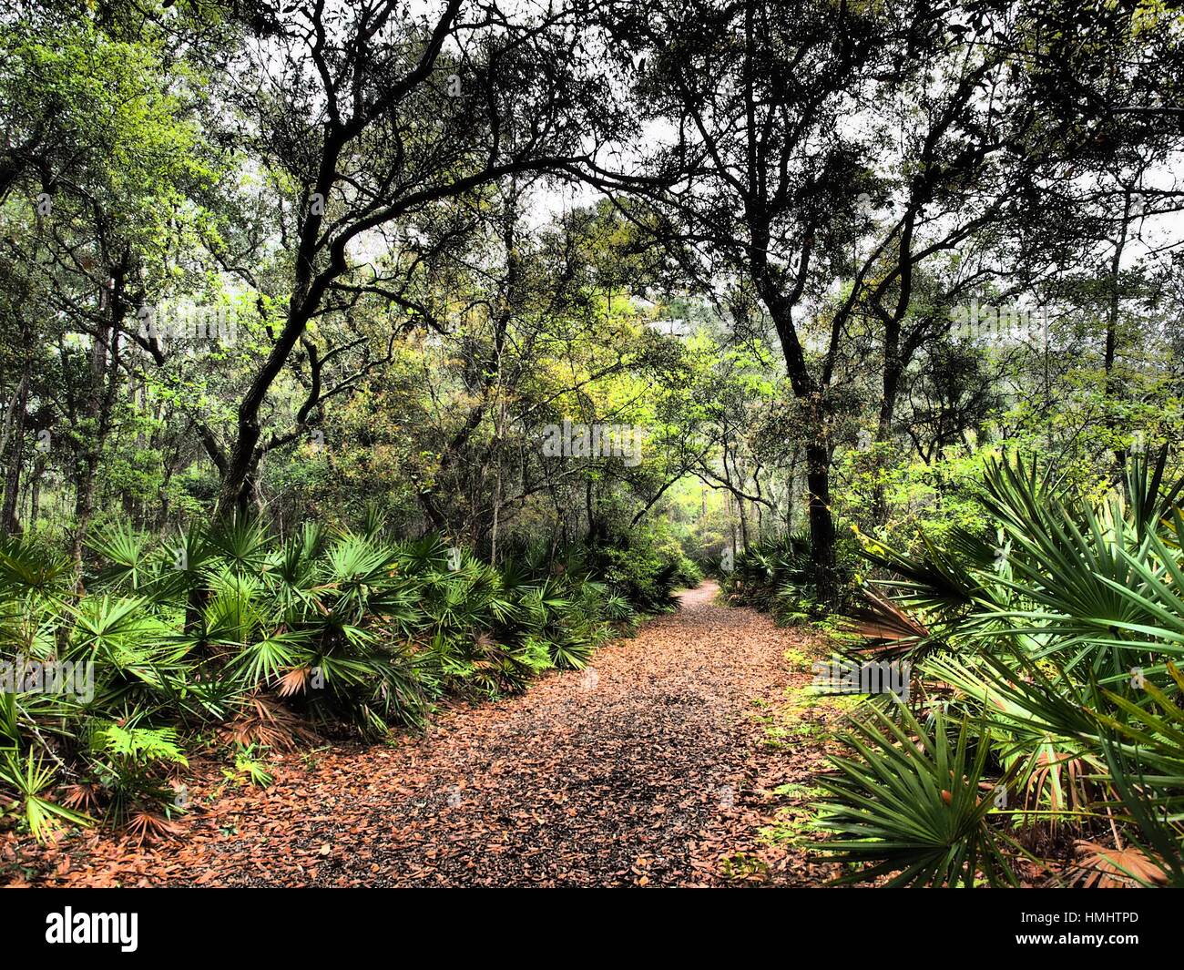 Bon secour hi-res stock photography and images - Alamy