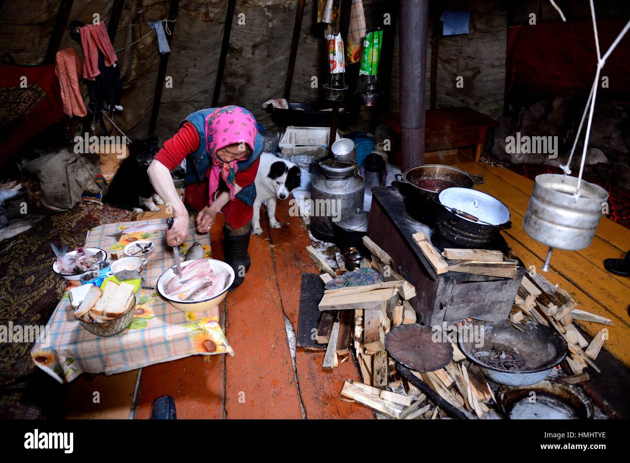 Native arctic woman hi-res stock photography and images - Alamy