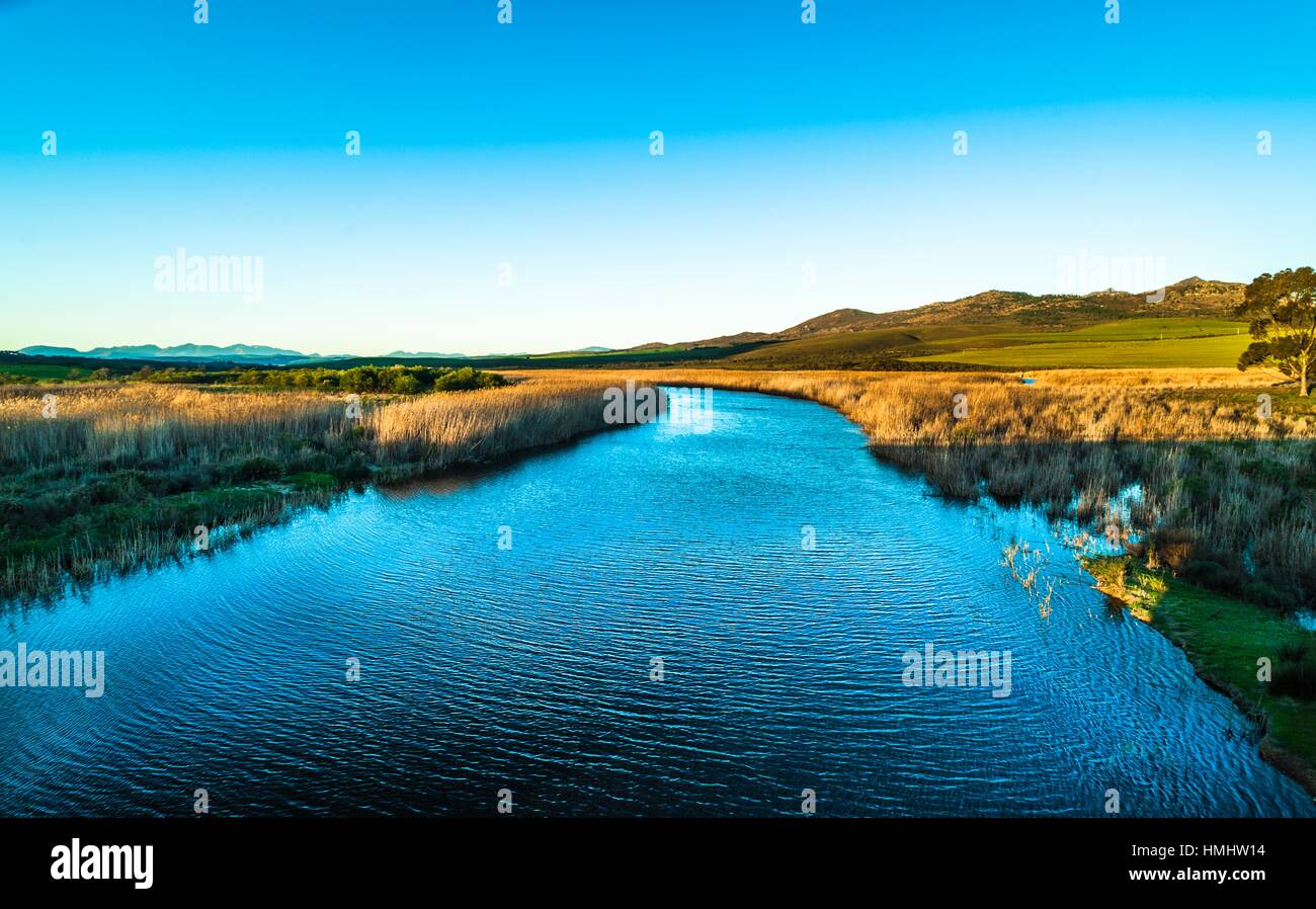 Bot image hi-res stock photography and images - Alamy