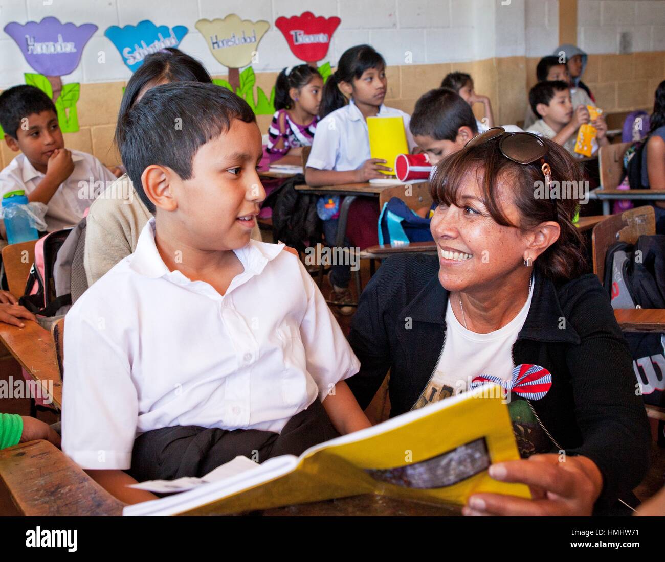 Reemer hi-res stock photography and images - Alamy