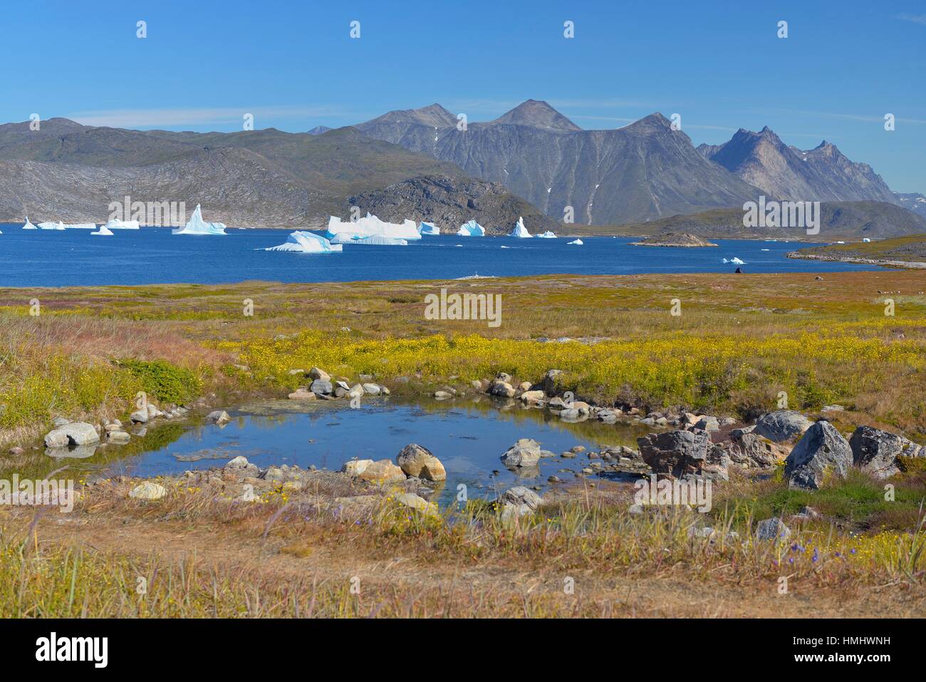 Thermal baths in Unartoq (Greenland Stock Photo - Alamy
