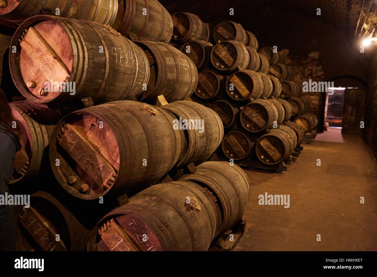 Lopez de Heredia Viña Tondonia, Rioja wine cellar, Barrio de la ...