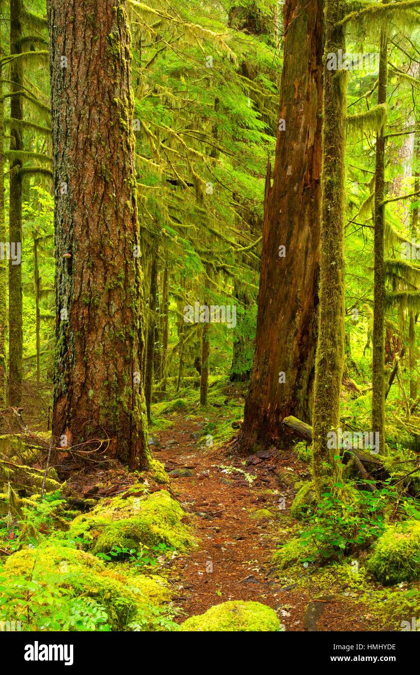 Oakridge trail hi-res stock photography and images - Alamy