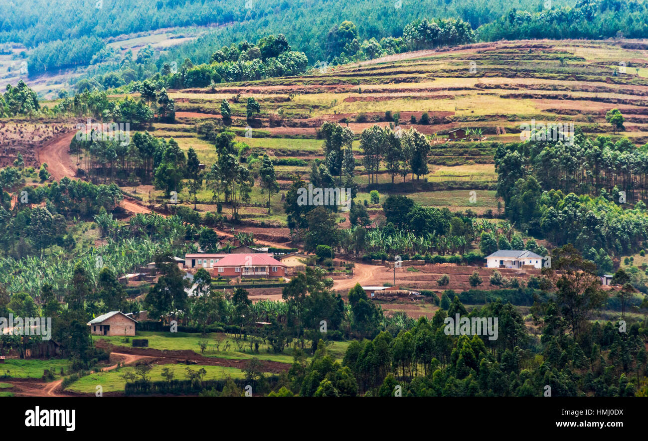 Village and farmland in the mountain, southwest Uganda Stock Photo - Alamy