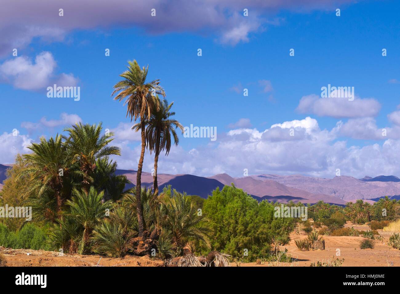 Souss river hi-res stock photography and images - Alamy