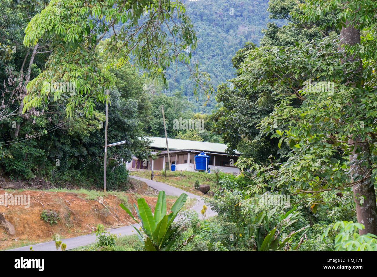 Land dayak bidayuh wooden house hi-res stock photography and images - Alamy