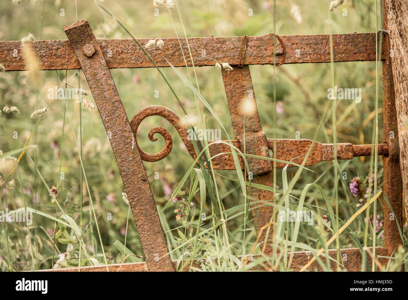Original wrought iron farm gate hi-res stock photography and images - Alamy