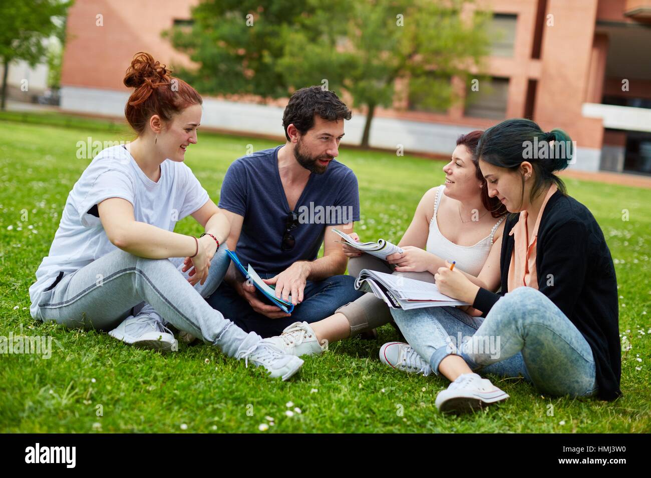 Students reviewing notes on campus lawn Stock Photo - Alamy