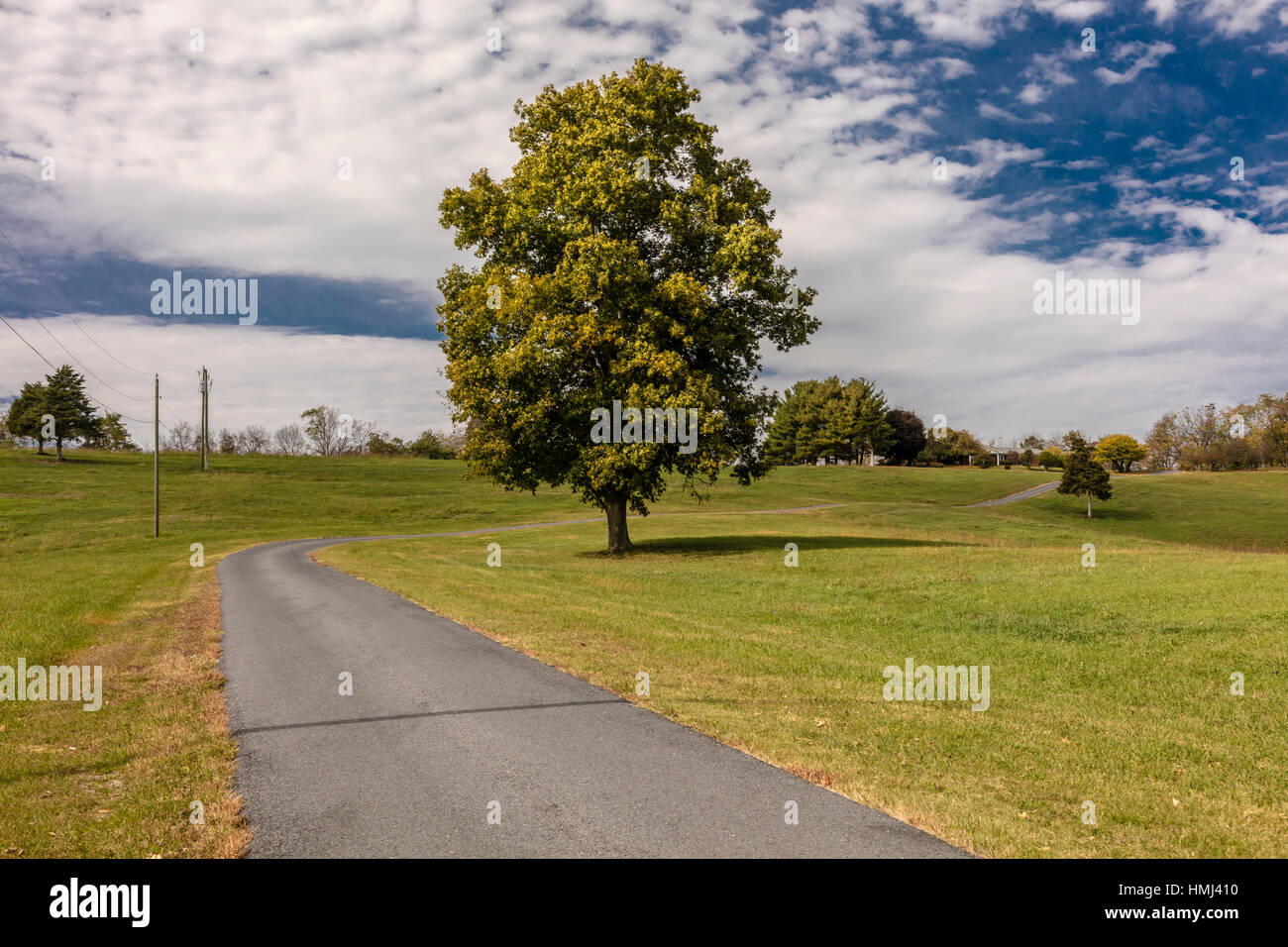 Lone Tree and curved road/driveway in rural Virginia, October 26, 2016 ...