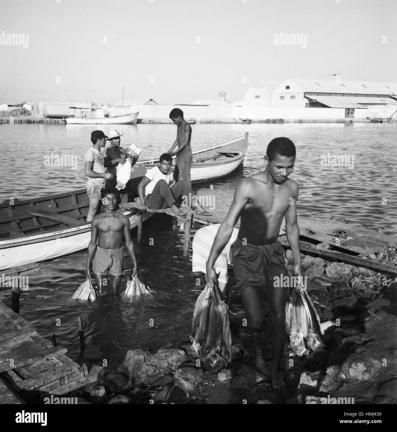 5 fische hi-res stock photography and images - Alamy