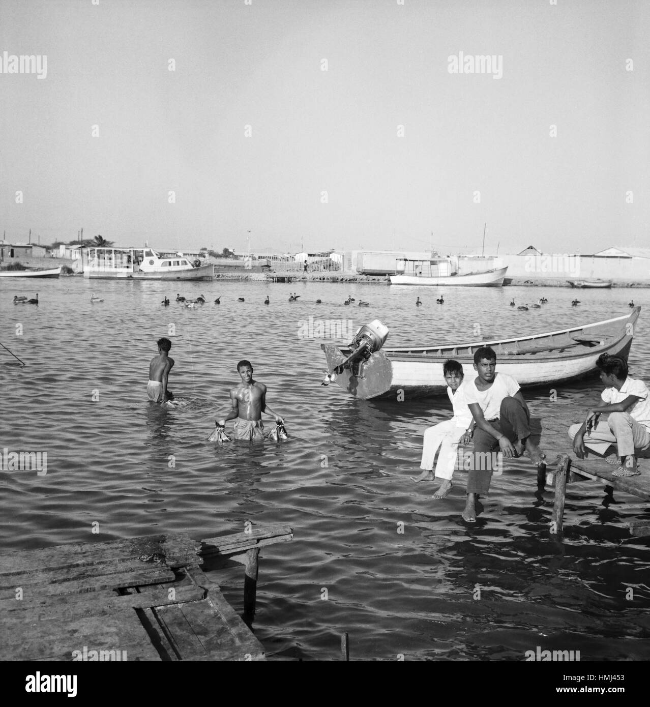 Jungen tragen Fische aus dem Rio Manzanares in Cumaná ans Ufer ...