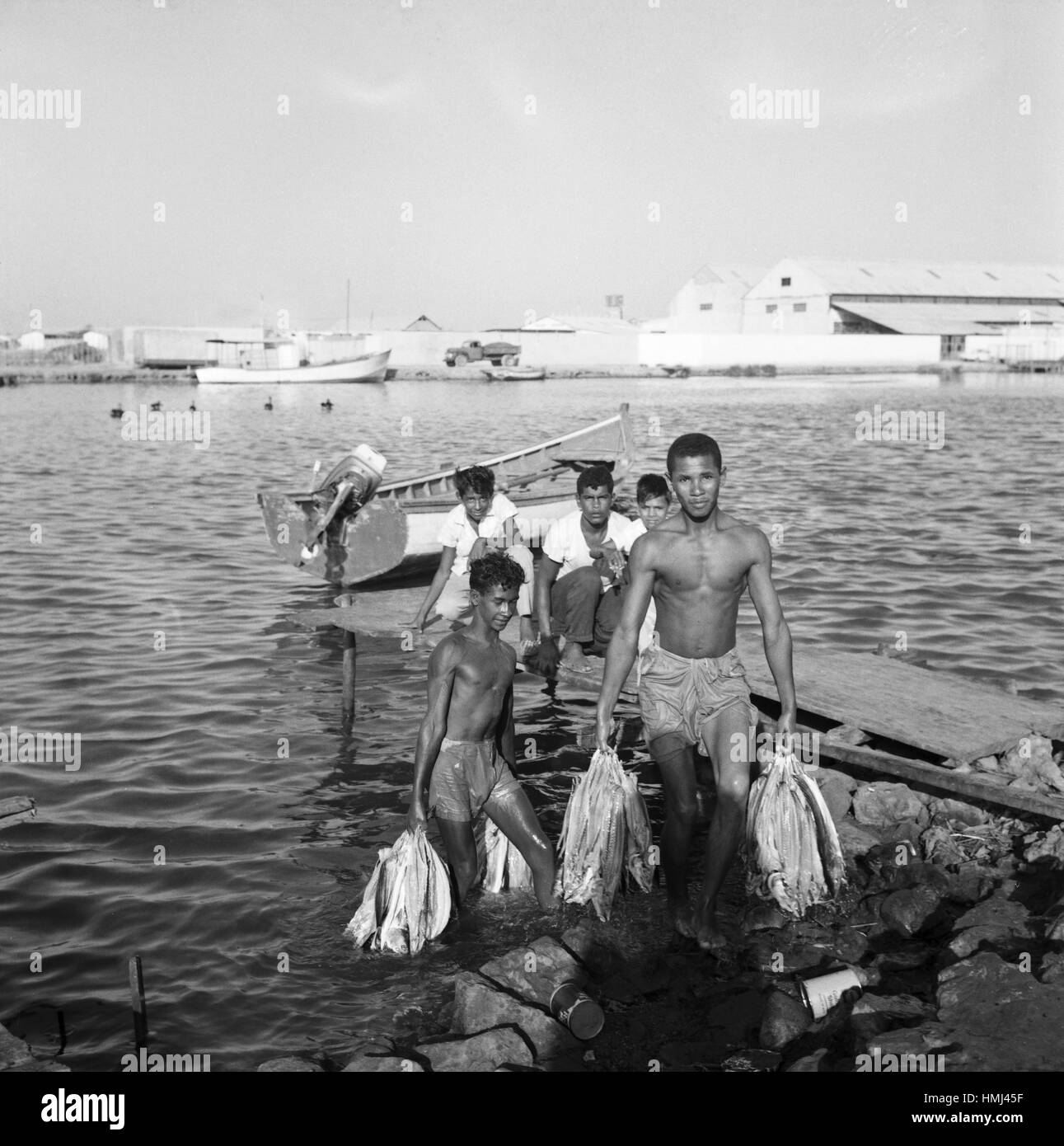 5 fische hi-res stock photography and images - Alamy